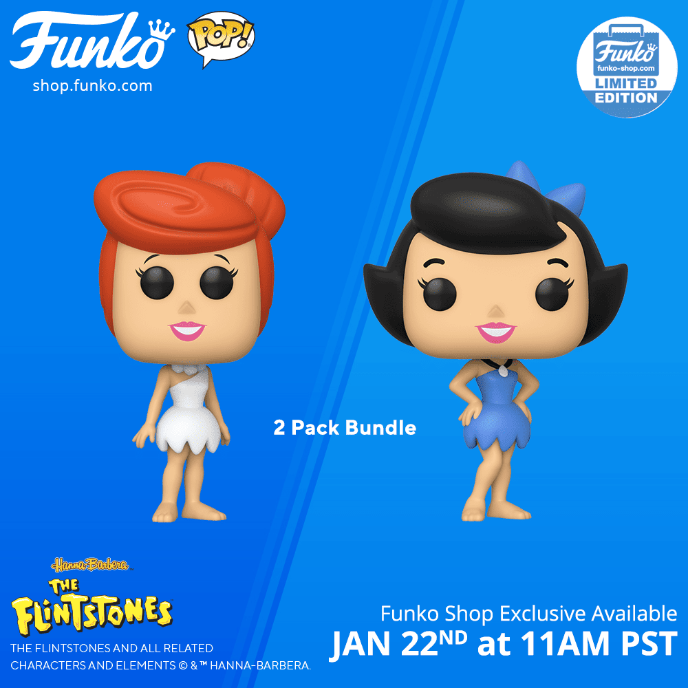 Funko Shop Exclusive Item: Pop! Animation: Wilma Flintstone & Betty ...
